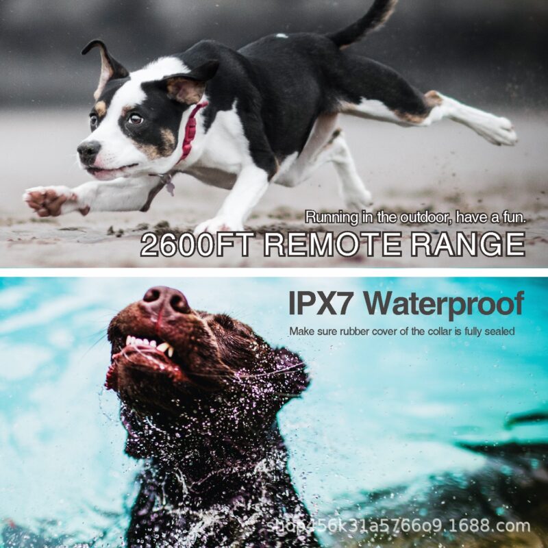 Petrainer 619a1 Rechargeable Waterproof Dog Training Collar 800m Range All Breeds OutletTrends ...