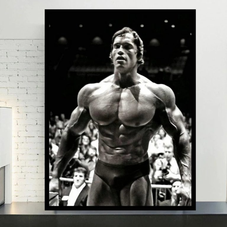 Arnold Schwarzenegger Bodybuilding Canvas Poster Motivational Fitness ...