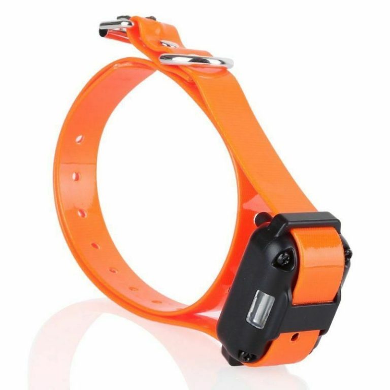 Rechargeable Ip6x Waterproof Dog Training Collar With Shock Vibration ...