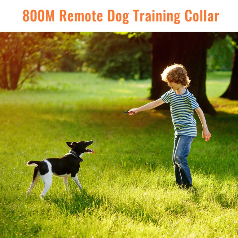 Petrainer 619a-1 800m Rechargeable & Waterproof Dog Training Collar Vibration Static Shock Tone ...