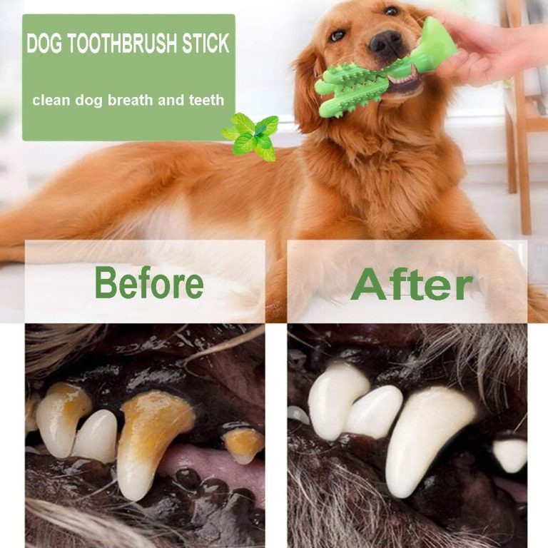 Durable Dog Toothbrush Toy Biteresistant Molar Stick For All Sized Dogs ...