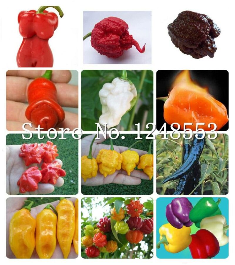 200pc Carolina Reaper Seeds OutletTrends.com Free Shipping Up to 70% OFF