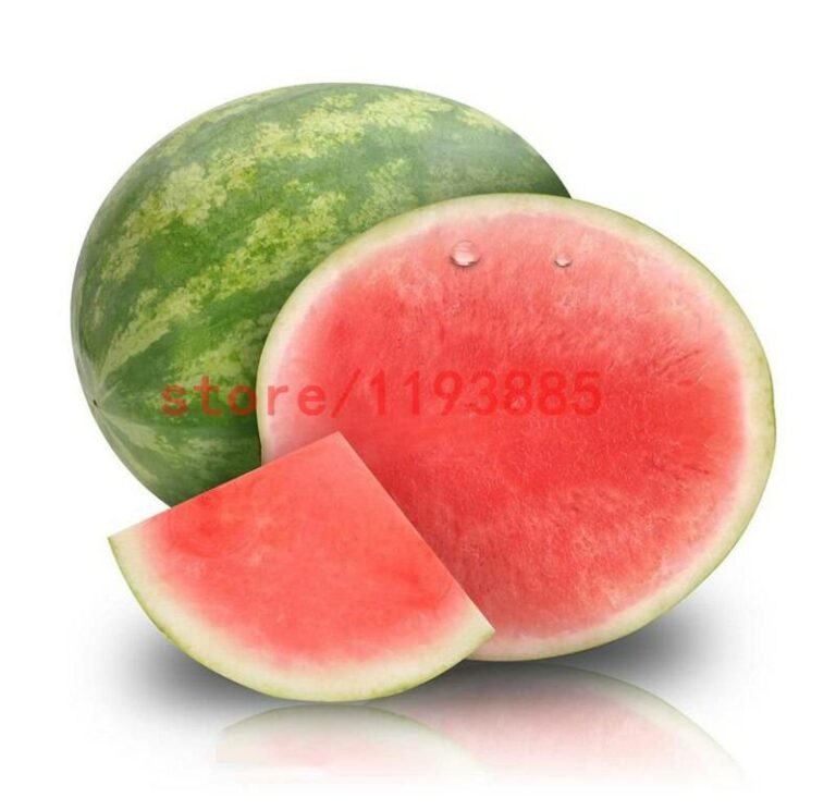 30pcs Watermelon Seeds Seedless OutletTrends.com Free Shipping Up to 70 ...