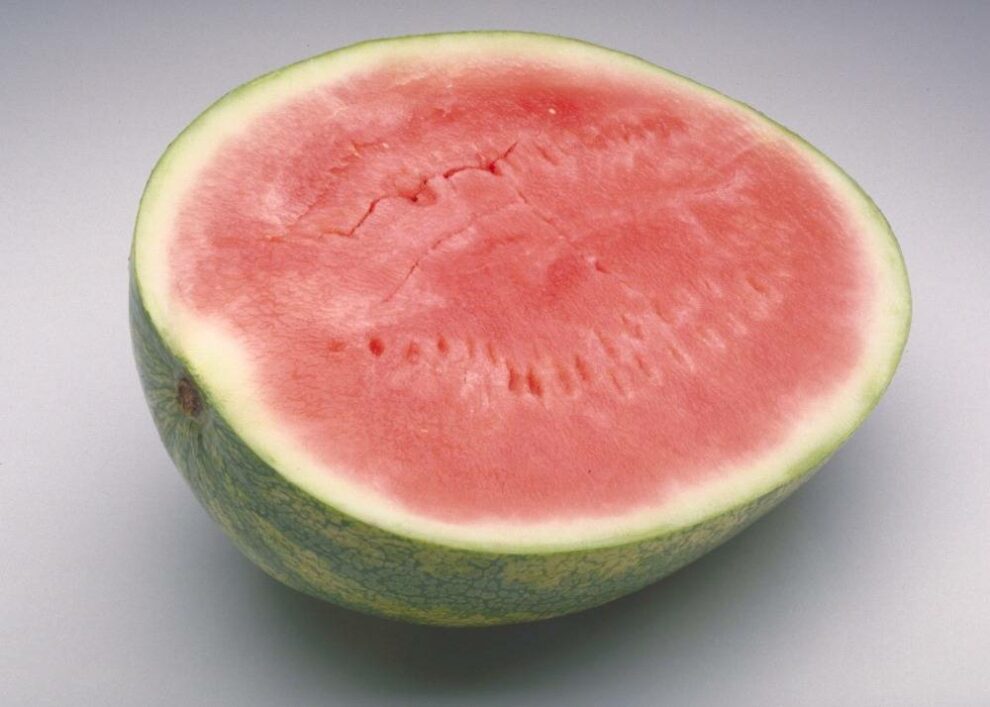 30pcs Watermelon Seeds Seedless OutletTrends.com Free Shipping Up to 70 ...