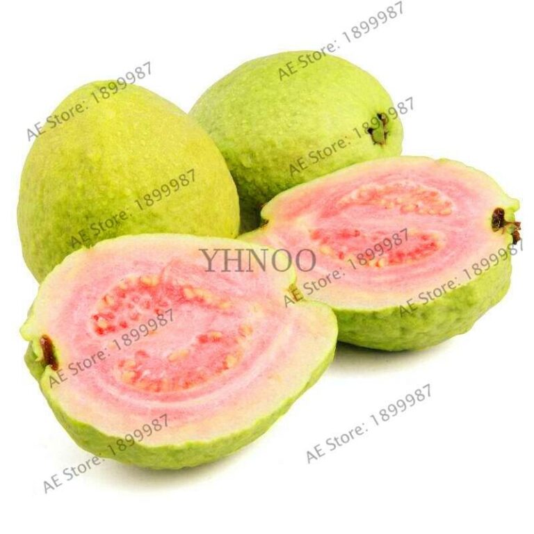 100Pcs Guava Fruit Seeds OutletTrends.com Free Shipping Up to 70% OFF
