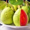 100Pcs Guava Fruit Seeds OutletTrends.com Free Shipping Up to 70% OFF