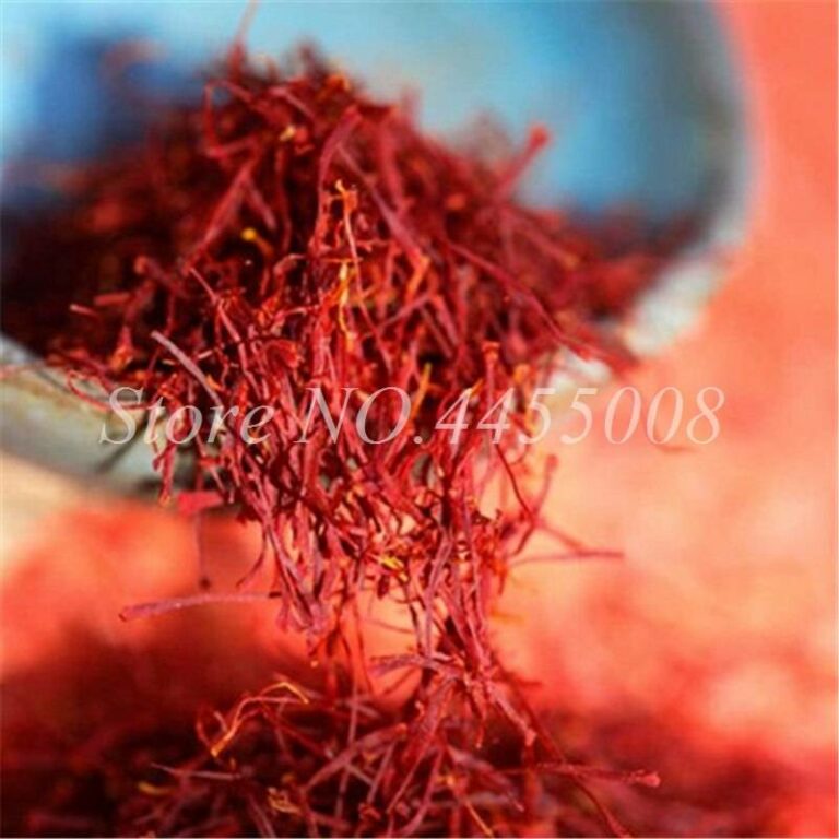 1000 Pcs Saffron Flower Seeds OutletTrends.com Free Shipping Up to 70% OFF