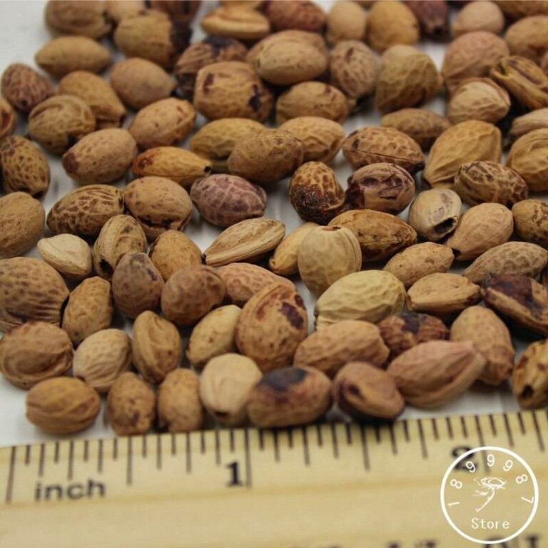 7 Varieties Japanese Sakura Seeds OutletTrends.com Free Shipping Up to ...