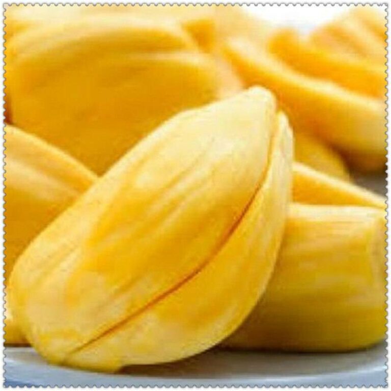 5 Pcs Japan Giant Miracle Fruit Seeds OutletTrends.com Free Shipping Up ...