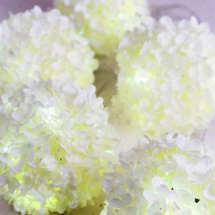 20 White Hydrangea Climbing Seeds OutletTrends.com Free Shipping Up to ...