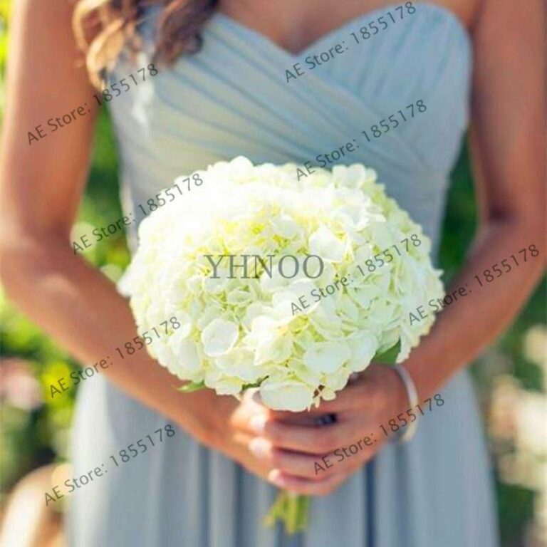 20 White Hydrangea Climbing Seeds OutletTrends.com Free Shipping Up to ...