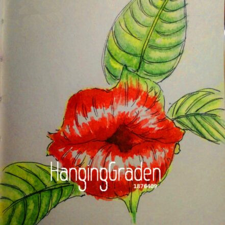 100 Pcs Red Lips Flower Seeds OutletTrends.com Free Shipping Up to 70% OFF