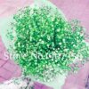 100 Pcs Gypsophila Paniculata Seeds OutletTrends.com Free Shipping Up ...