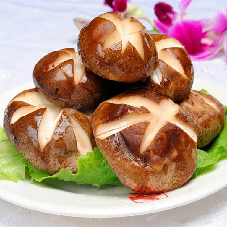 Organic Mush Flores Seeds OutletTrends.com Free Shipping Up to 70% OFF